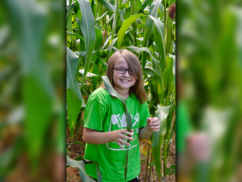 Young Basin gardeners see results of their efforts | The News Observer ...